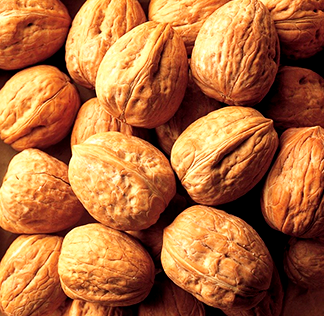 Walnut kernel-Walnut-Fresh fruits and Vegetables-Jining Kaima Import ...