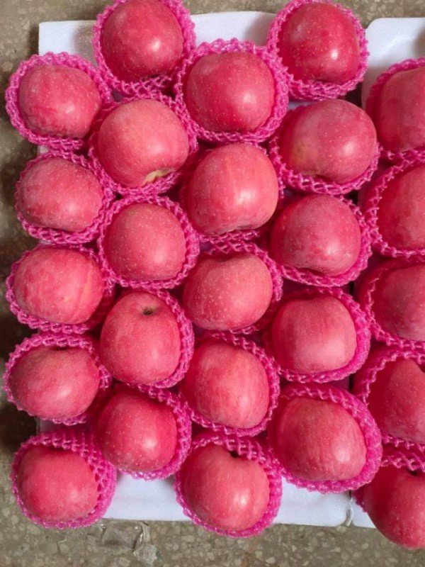 Red Star-Apple-Fresh fruits and Vegetables-Jining Kaima Import and ...