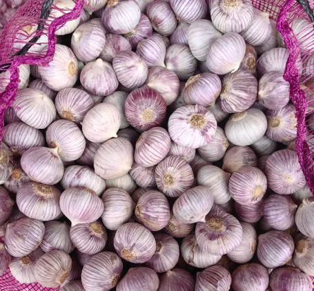 Single clove garlic-Garlic-Fresh fruits and Vegetables-Jining Kaima ...